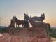 Hubli Tourist Places: 7 Must-Visit Tourist Spots Near Hubli