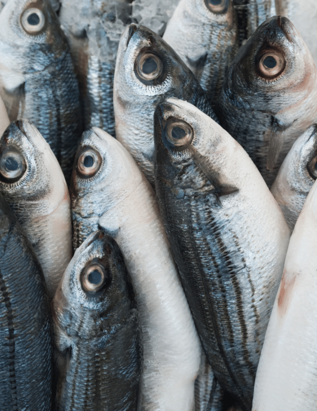 Best Theatres & Multiplexes In Hubli – Movie Showtimes